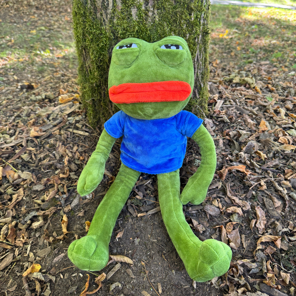 Sad Frog Pepe – The Plush That Matches Your Vibe